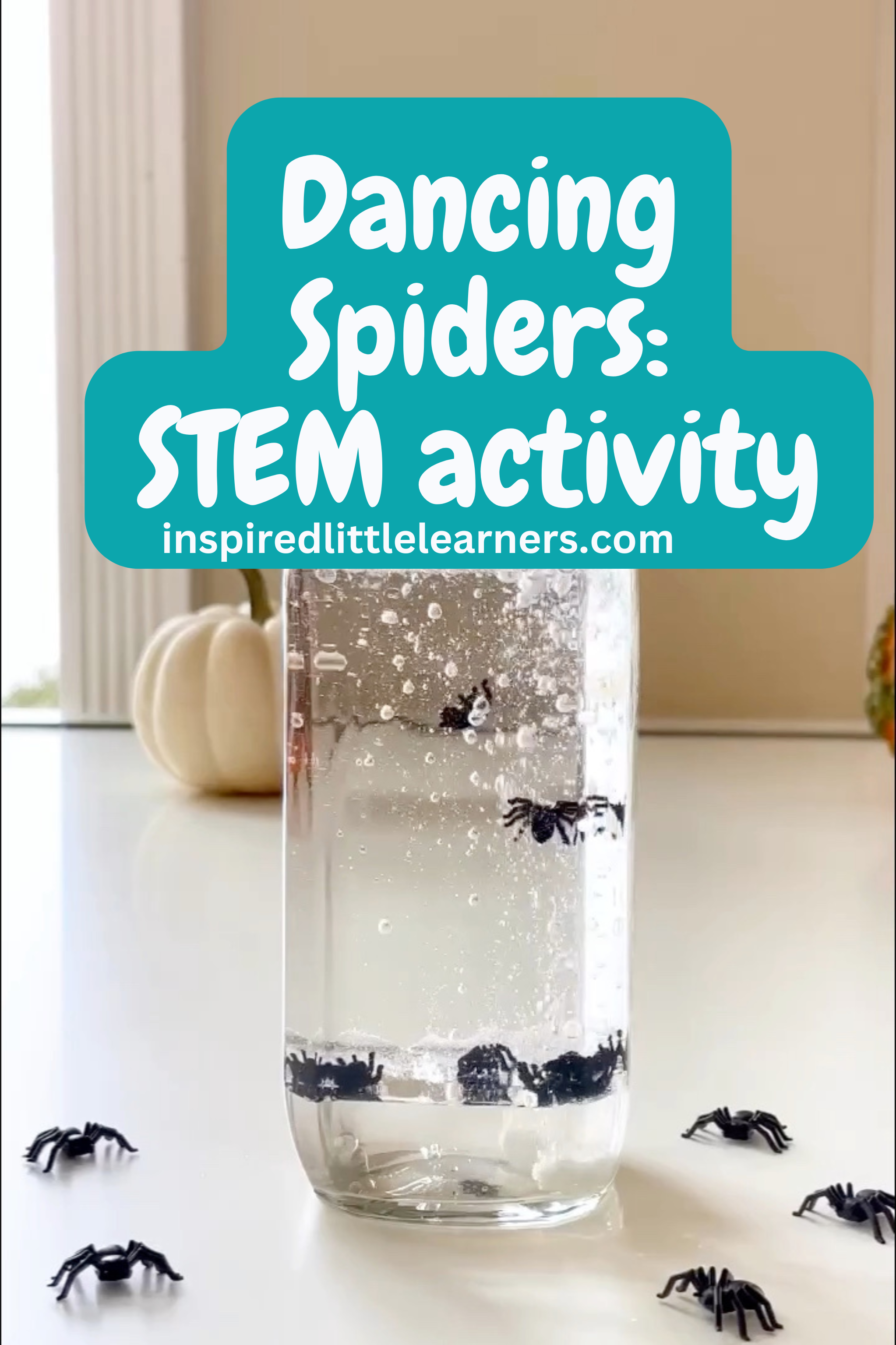 Dancing Spiders: Halloween Science Activity – Inspired Little Learners