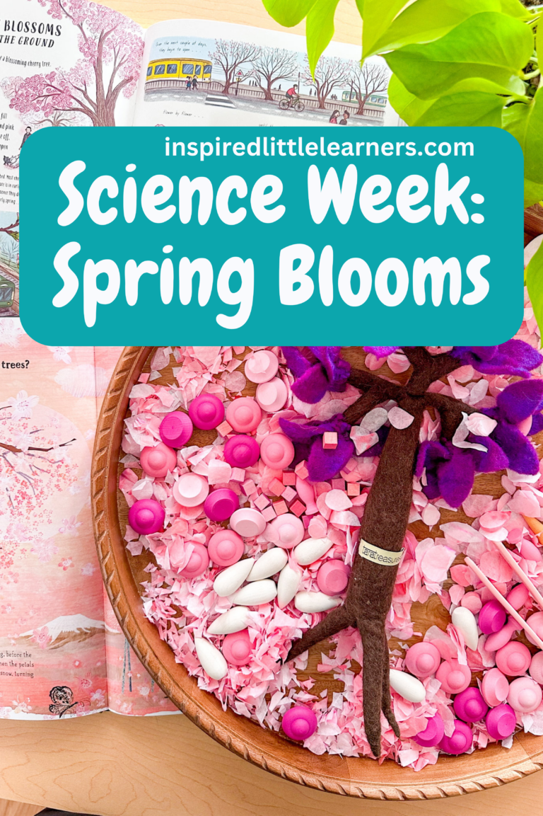 Science Week: Spring Blooms – Inspired Little Learners